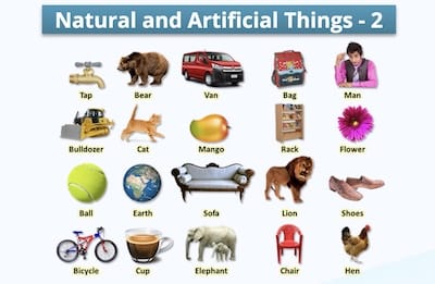 Match Natural and Artificial Things: Grade 1 & 2 - Educational Games ...