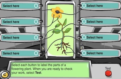 Plant Scan (Learn to Identify Plant Parts) - Educational Games For Kids
