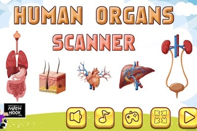 Human Organ Scanner - Educational Games For Kids
