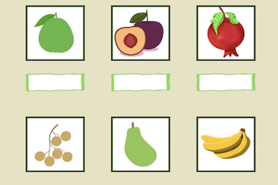 Name That Fruit - Educational Games For Kids